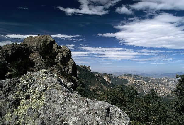 Hidalgo State Mexico
